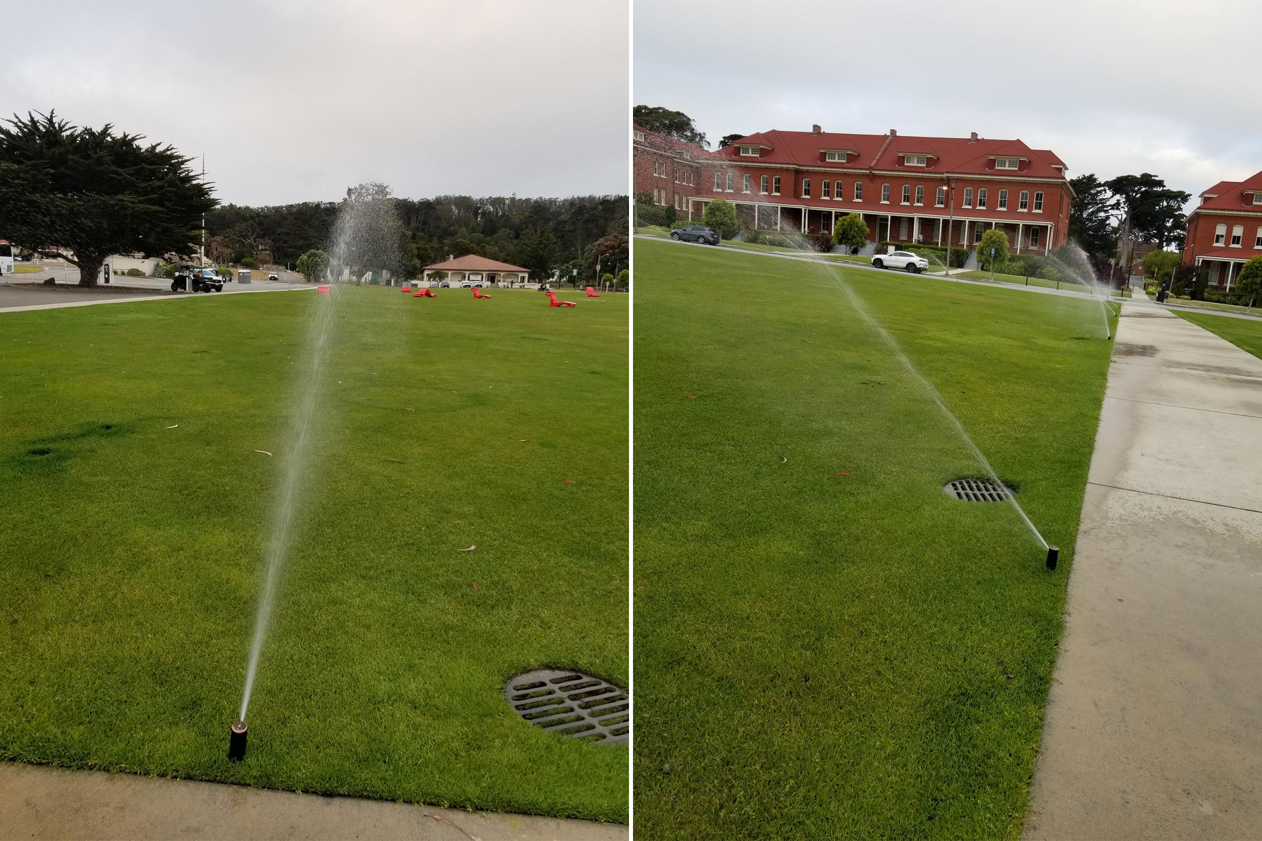 Reducing Water Use in the Park - The Presidio (San Francisco)