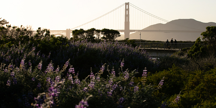 What’s New at the Presidio of San Francisco, Spring 2021 | The Presidio ...