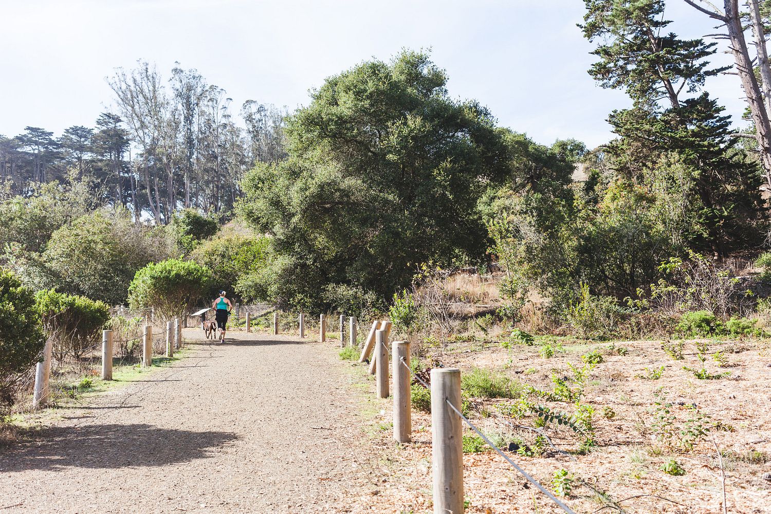Itinerary: Watershed Loop | Hiking in San Francisco | The Presidio (San ...